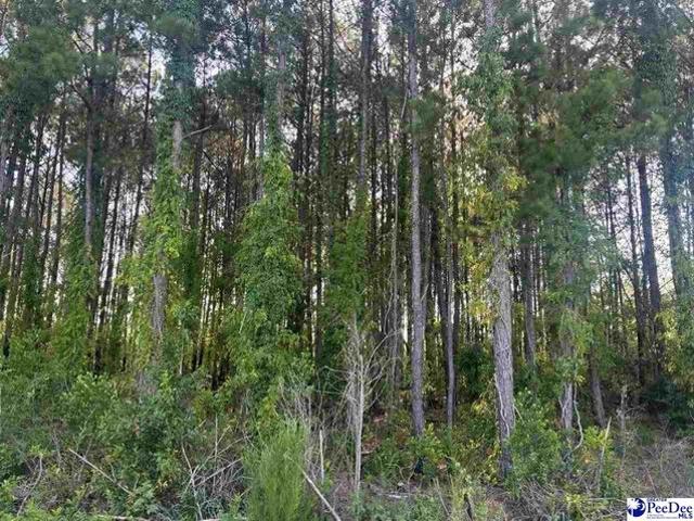 Commanchee St # #lots, Hartsville, SC 29550