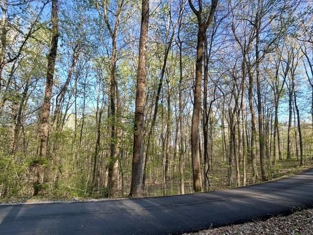 Commerce Landing Rd Lot 14E, Eddyville, KY 42038