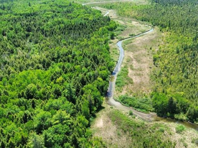 Commonwealth Lot Old, Enfield, Plot For Sale