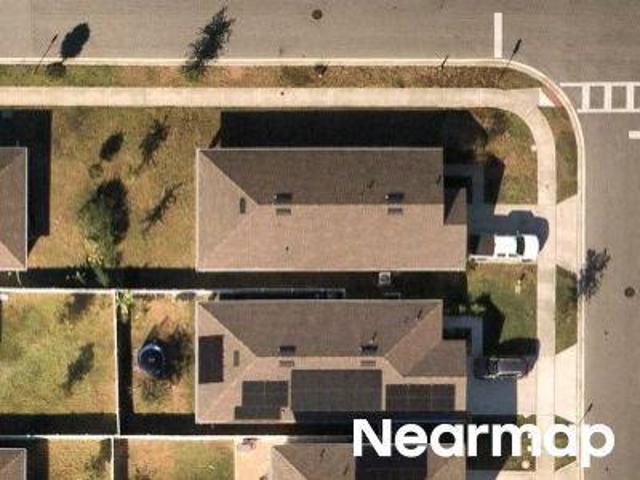 Common Crane Ct