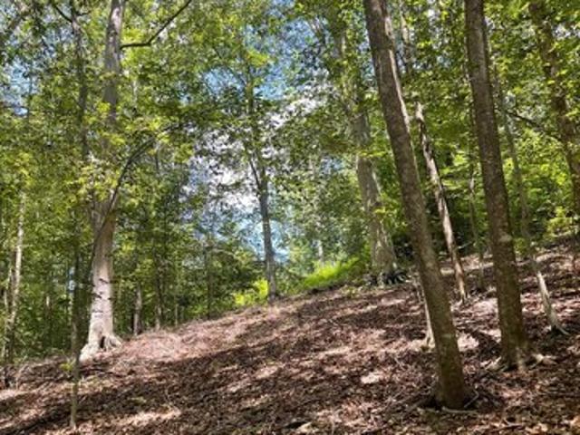 Compass Ct Lot 28, King George, VA 22485