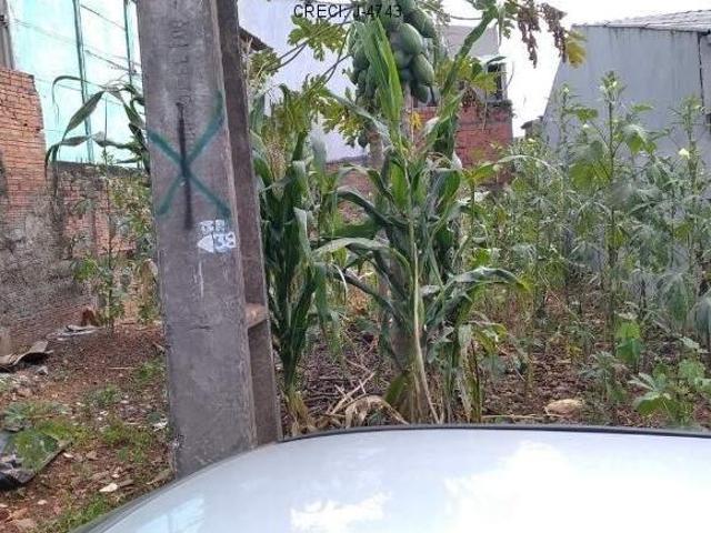 COMPRA, VENDE, TERRENO, LOTE, PADOVANI, SANTA FELICIDADE, COOPAVEL, CASCAVEL PR