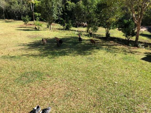 Compre na Cátya Varela Imóveis: Terras rurais com 50 hectares Ant