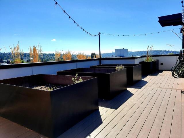 Contemporary Studios in Desirable Ballard Neighborhood! Studio Apartment for Rent at 1443 Nw 63rd St, Seattle, WA 98107 West Woodland