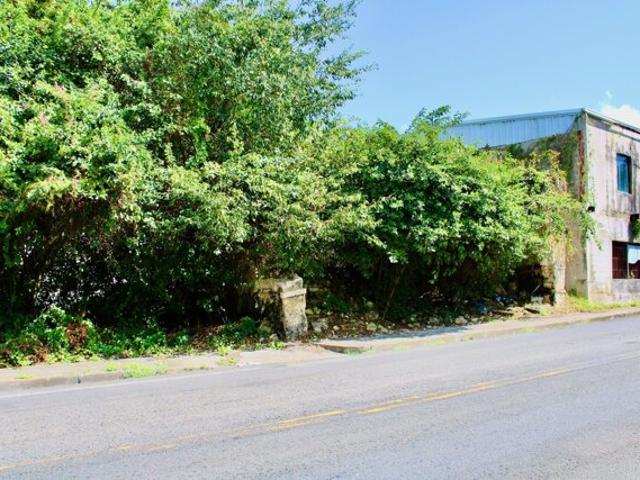 Contentment Co, Saint Croix, Plot For Sale