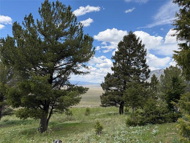 Continental Divide Rd Lots 2 & 4A, Cameron, MT 59720