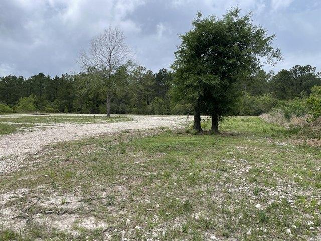 Continental Pkwy, Humble, TX 77346