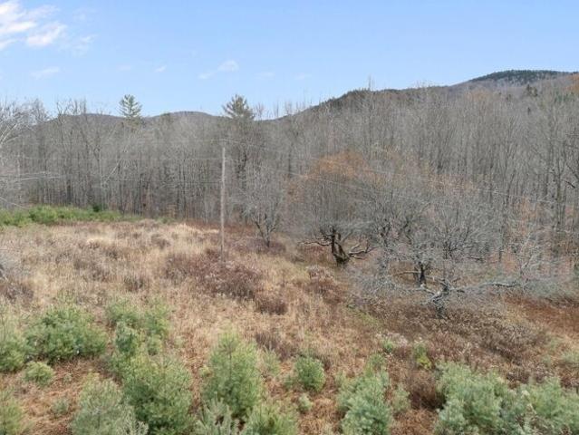 Contro Rd, Chester, Plot For Sale