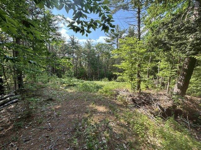 Conway NH 03813 104687522