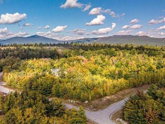 Conway NH 03818 102411210