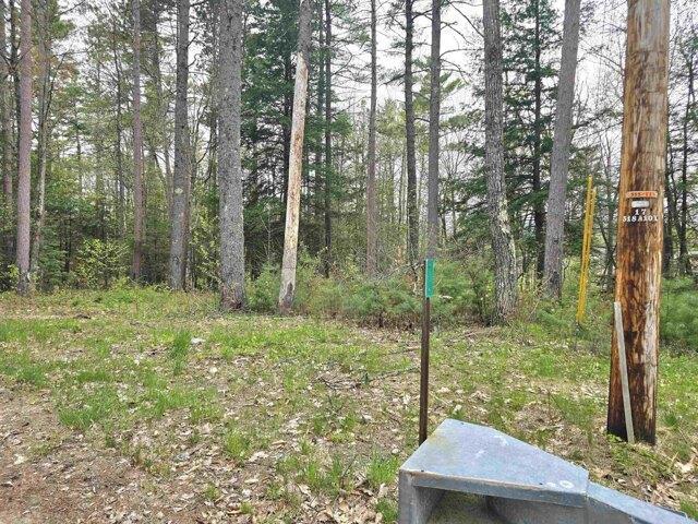 Conway NH 03860 104232323