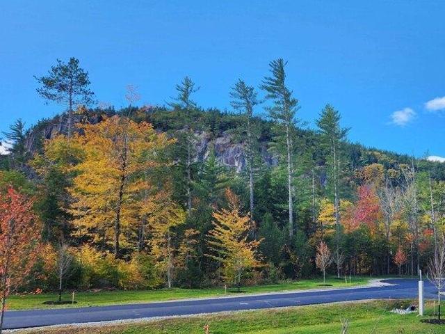 Conway NH 03860 104651036