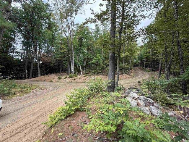 Conway Rd Lot,madison, Plot For Sale