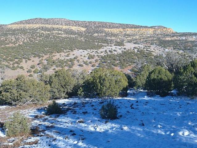 Concho 40AC, Concho, AZ 85924
