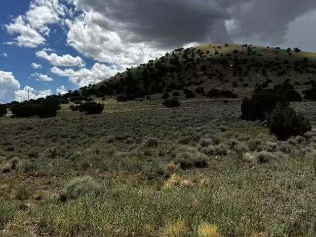 Concho, Great lot for the price. Lot has water