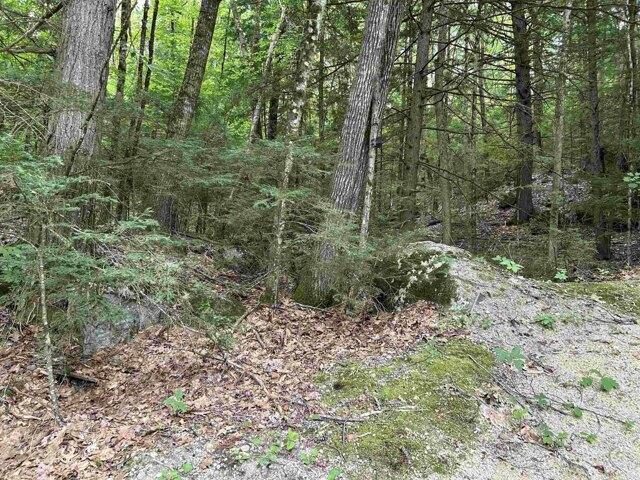 Concord NH 03303 104653658
