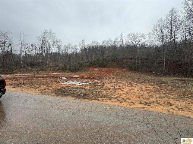 Concord Church Rd, Munfordville, KY 42765