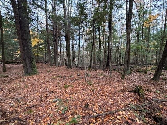 Concord Rd, Keene, Plot For Sale