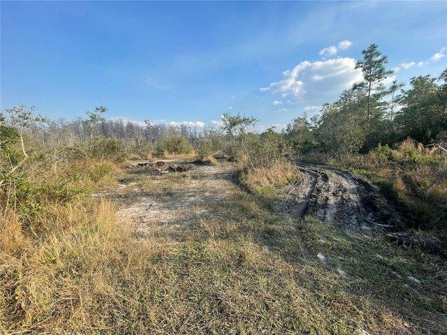 Concord Rd, Saint Cloud, FL 34773
