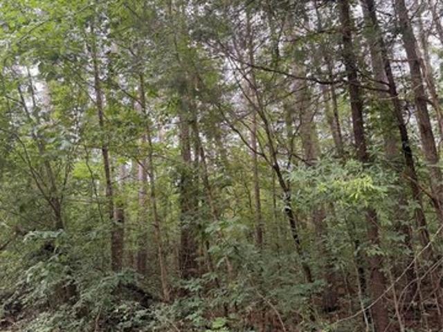 Concord Rd Unit 759, New London, NC 28127
