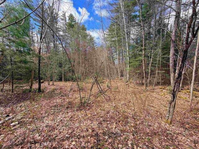 Concord VT 05824 104477745