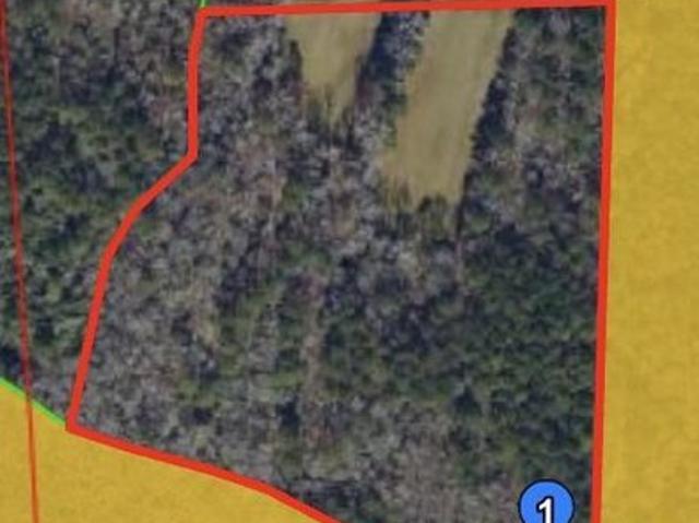 Condary Rd, Selma, NC 27576