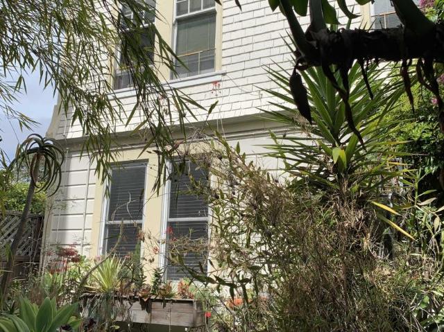 condo 1 bedroom, San Francisco CA 94103 DS50356343