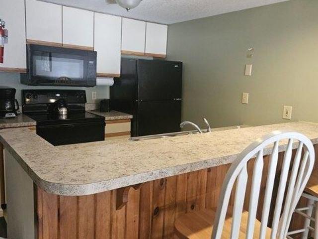 condo with 1 bedroom, Woodstock NH DS91553960