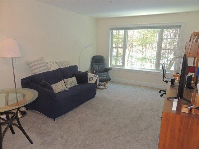 condo with 1 bedroom, Amherst MA DS102585873