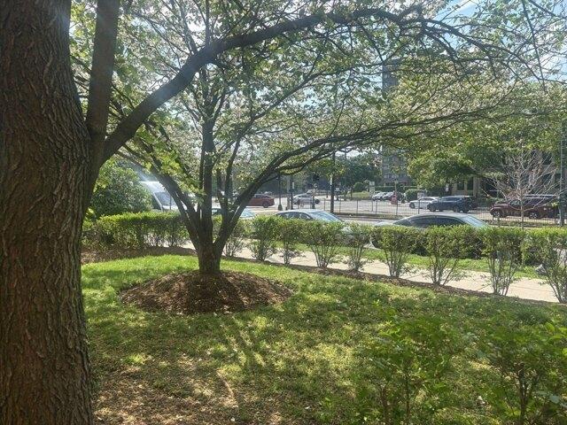 condo with 1 bedroom, Boston MA DLS102583169