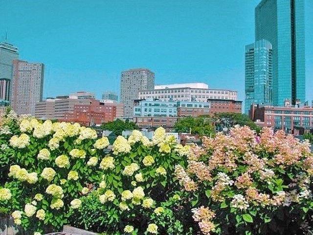 condo with 1 bedroom, Boston MA ES105079557
