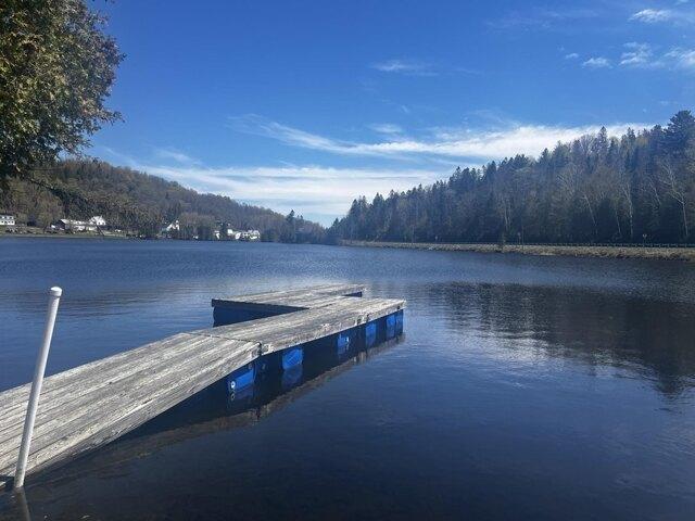 condo with 1 bedroom, Danville VT DS102444017