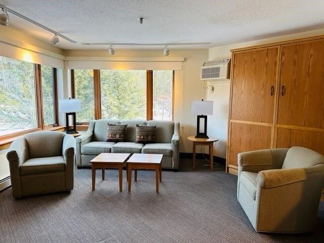 condo with 1 bedroom, Lincoln NH DLS103126661
