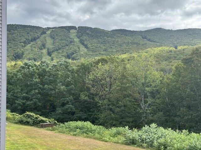condo with 1 bedroom, Lincoln NH DS104409441