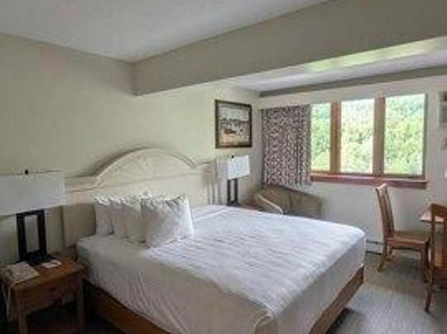 condo with 1 bedroom, Lincoln NH DS104479469