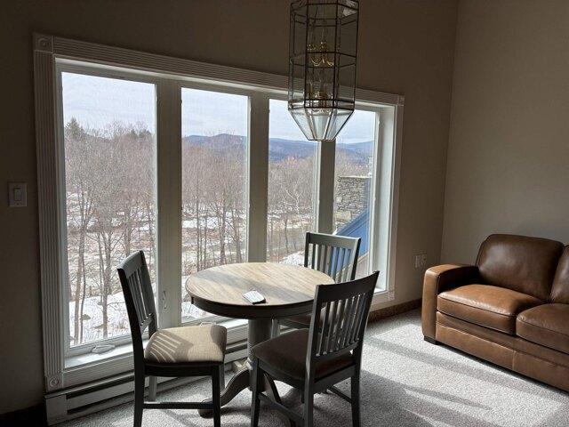 condo with 1 bedroom, Lincoln NH DS103036119