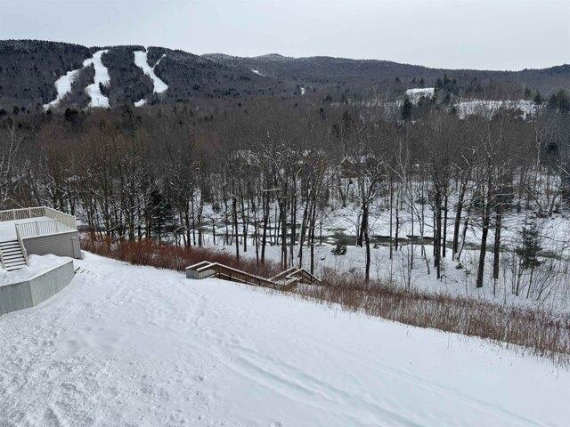 condo with 1 bedroom, Lincoln NH DS103033925