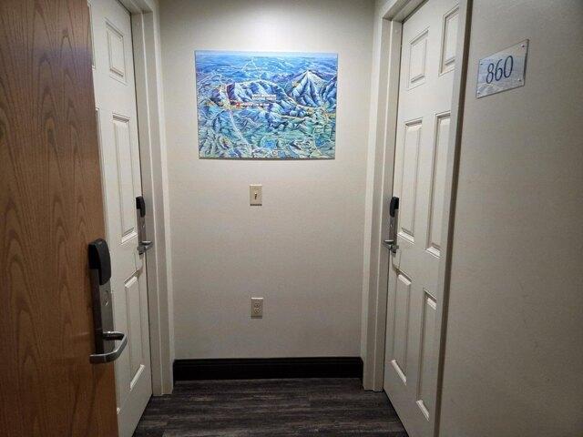 condo with 1 bedroom, Lincoln NH DS103072313