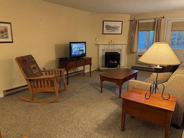 condo with 1 bedroom, Lincoln NH DS103128096