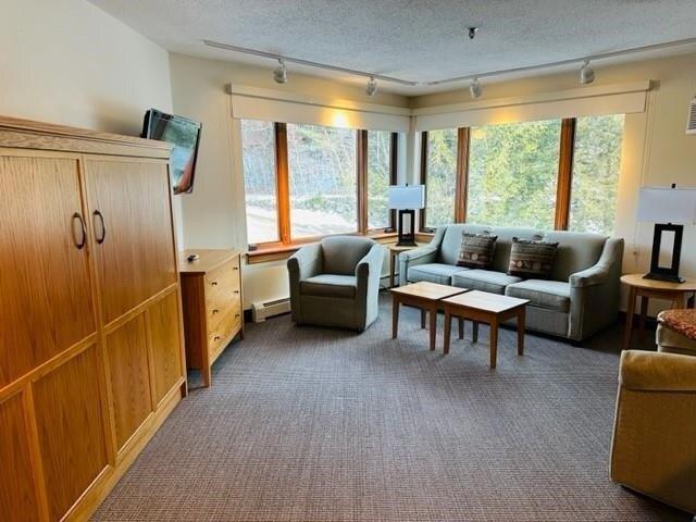 condo with 1 bedroom, Lincoln NH ES104761741