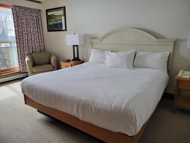 condo with 1 bedroom, Lincoln NH ES104852726