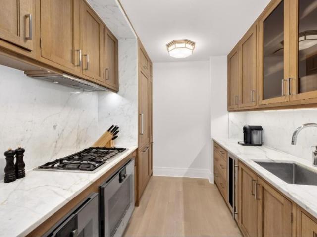 condo with 1 bedroom, New York NY ES88230647