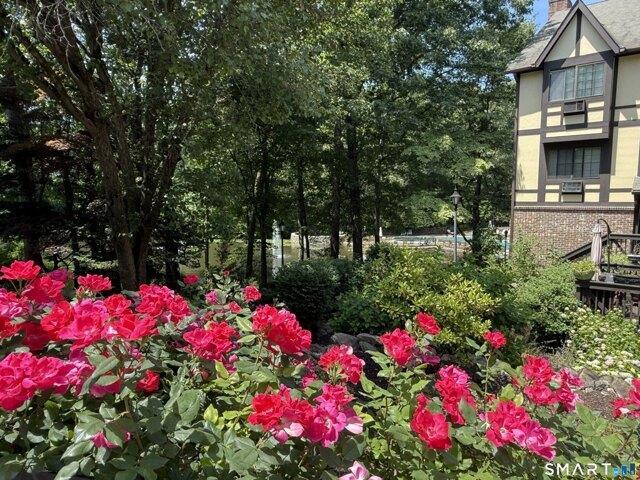 condo with 1 bedroom, Norwalk CT ES104114904