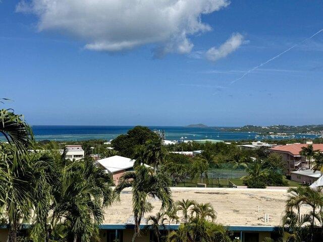 condo with 1 bedroom, Saint Croix IN DS102562902