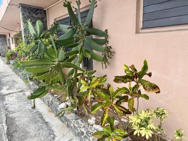 condo with 1 bedroom, Saint Croix IN DS102923043