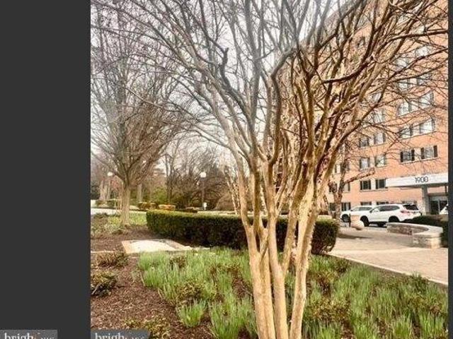 condo with 1 bedroom, Silver Spring MD ES103604589