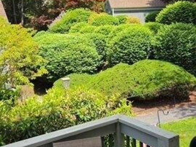 condo with 1 bedroom, Southbury CT DLS103125992