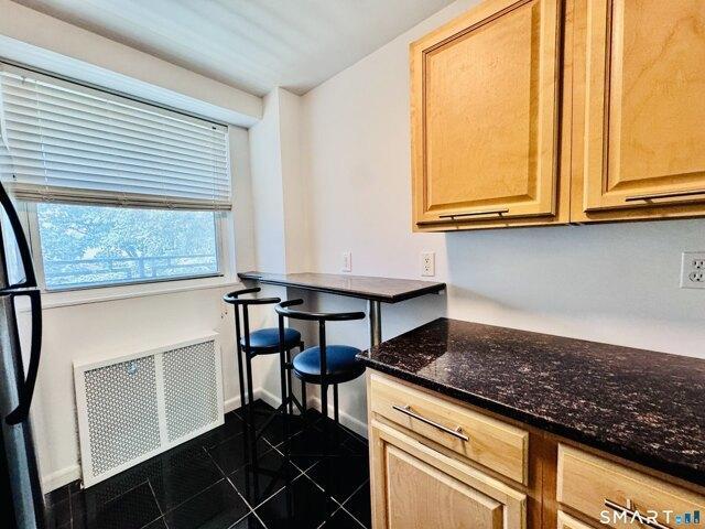condo with 1 bedroom, Stamford CT ES103667072