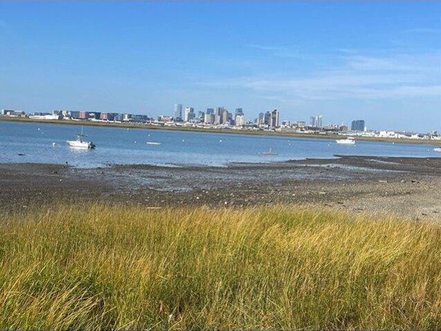 condo with 2 bedroom, Winthrop MA DS103851534