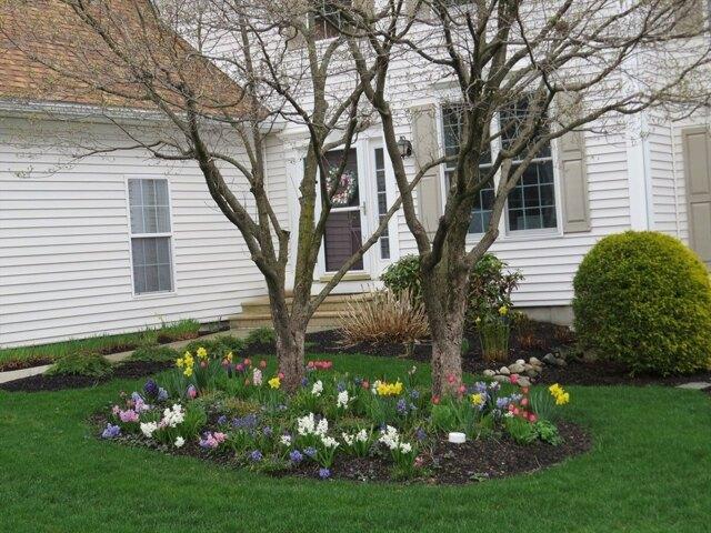 condo with 2 bedroom, Berlin MA DLS102594506